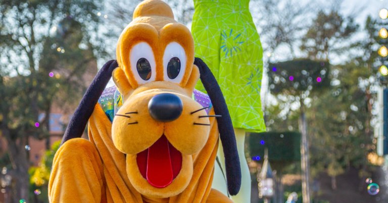 Mit Hund ins Disneyland Paris reisen